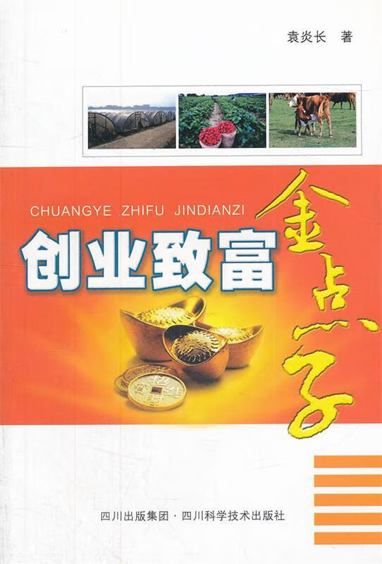 创业致富金点子