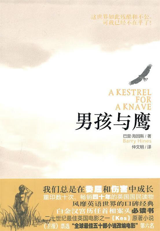 男孩与鹰 (英)海因斯著,仲文明译