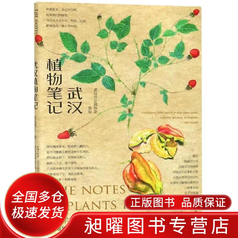 武汉植物【现货】