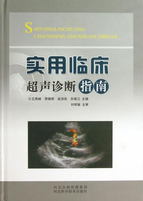实用临床超声诊断指南 王周峰等 编 河北出版传媒集团，河北科学技术出版社