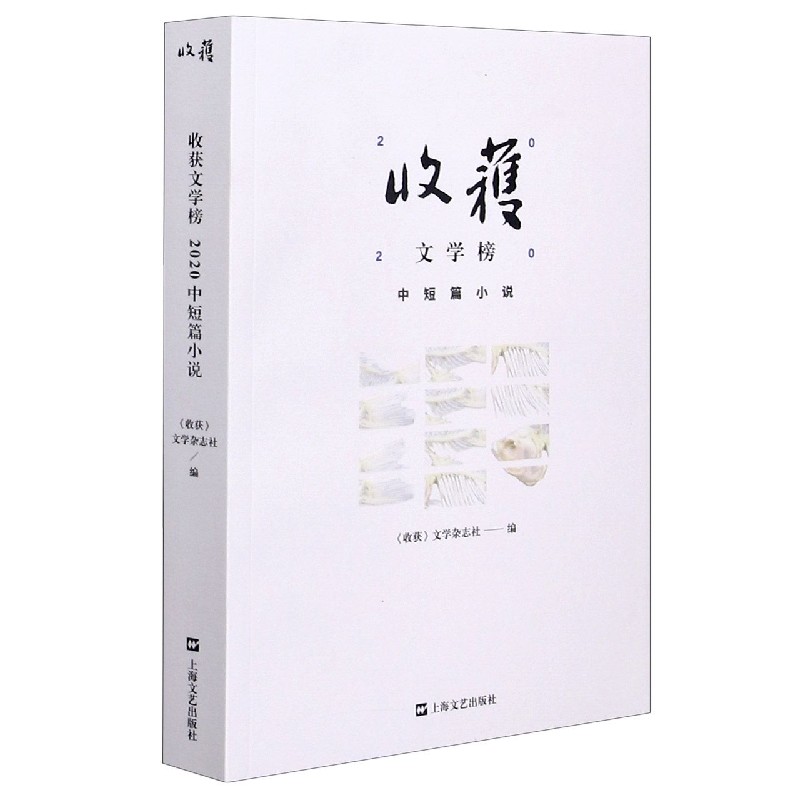 收获文学榜(2020中短篇小说)