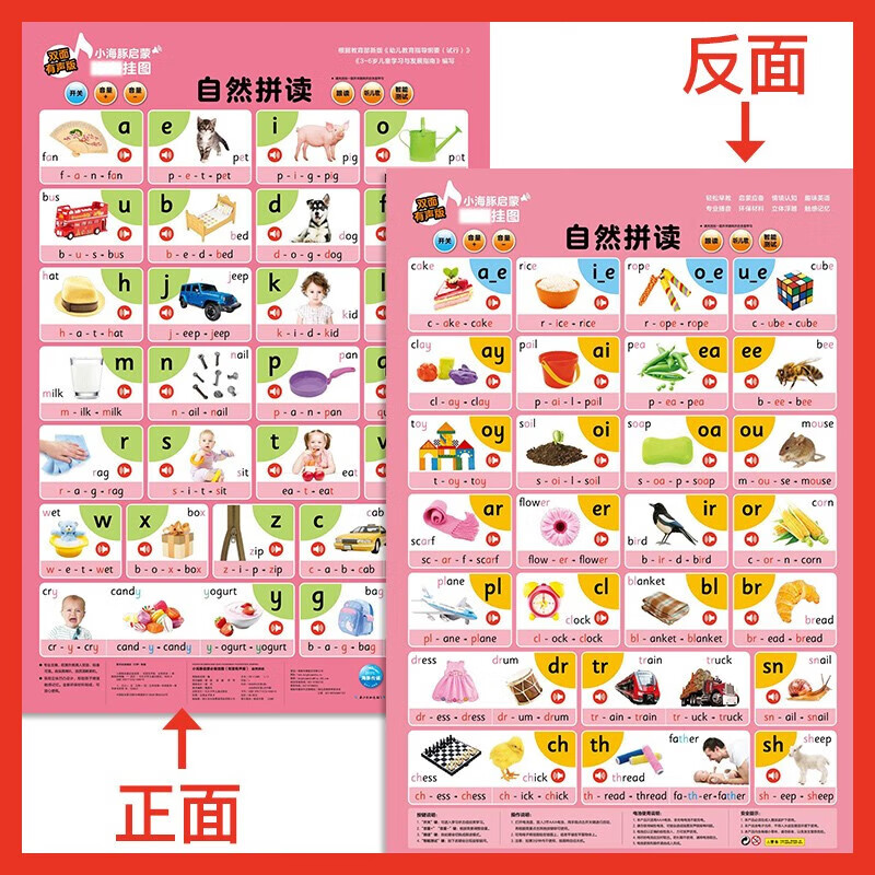 小海豚启蒙必备挂图 立体双面有声版 动物世界数字英语汉语拼音 海豚低幼馆益智游戏少儿 宝宝婴幼儿童启蒙早教认知书学习神器 自然拼读(双面有声)