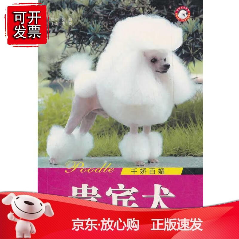 千娇百媚贵宾犬世界名犬系列