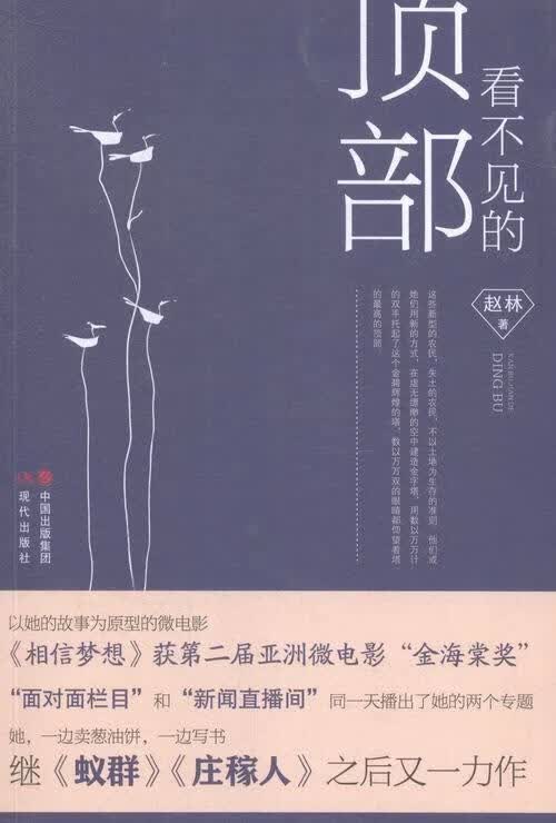 看不见的顶部 赵林