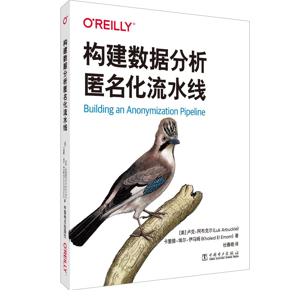 构建数据分析匿名化流水线9787519856731