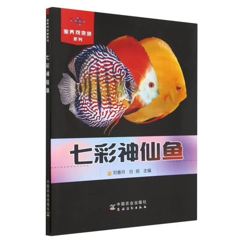 七彩神仙鱼(家养观赏鱼系列)
