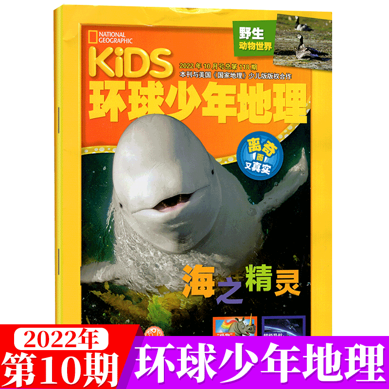 kids环球少年地理杂志 美国国家地理少年版 2022年10月