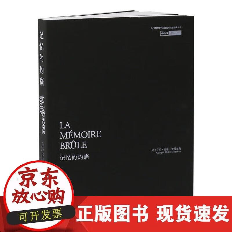 【现货】记忆的灼痛