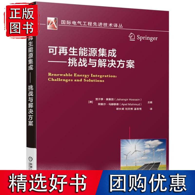 可再生能源集成 挑战与解决方案