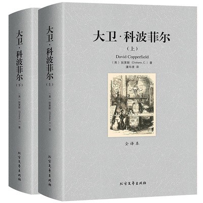 大卫科波菲尔 2册 原著 全译本无删减版 初中高中小学生课外书 世界名著
