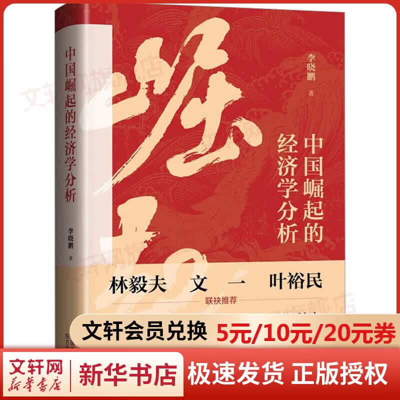 中国崛起的经济学分析 图书
