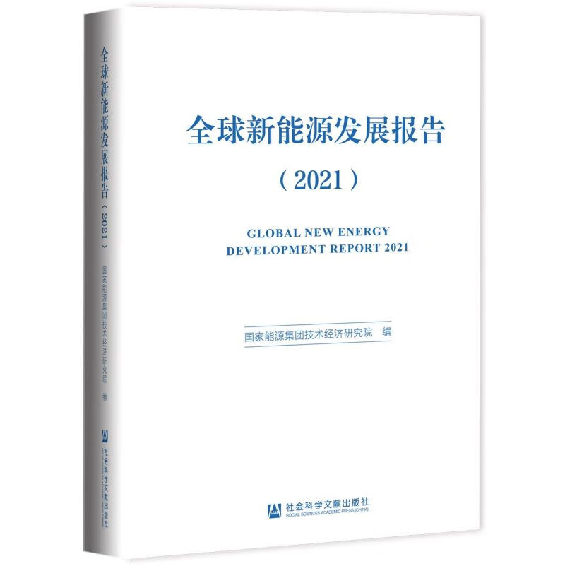 全球新能源发展报告(2021)