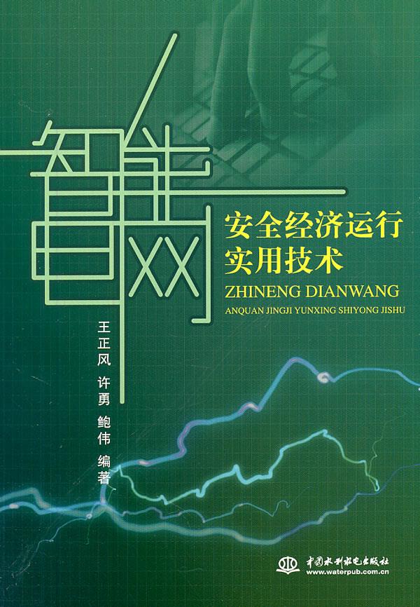 智能电网安全经济运行实用技术