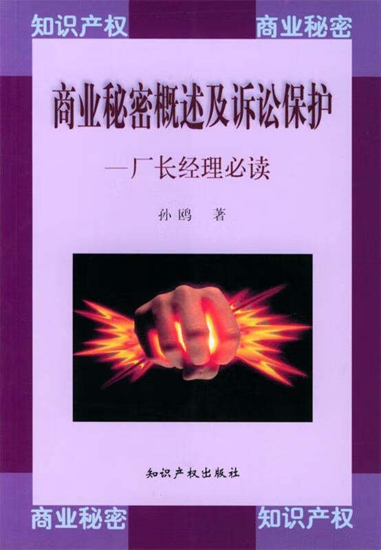 商业秘密概述及诉讼保护 孙鸥 著