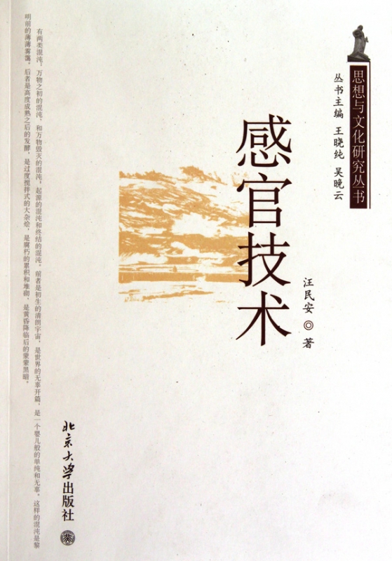 感官技术/思想与文化研究丛书