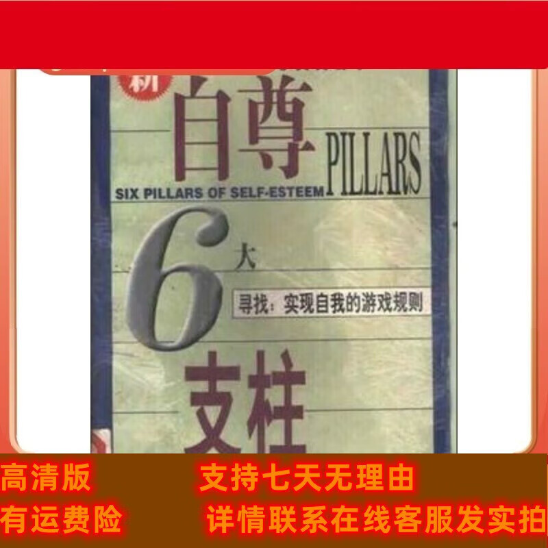 定制款 自尊的六大支柱 寻找：实现自我的游戏规则 纳撒尼尔