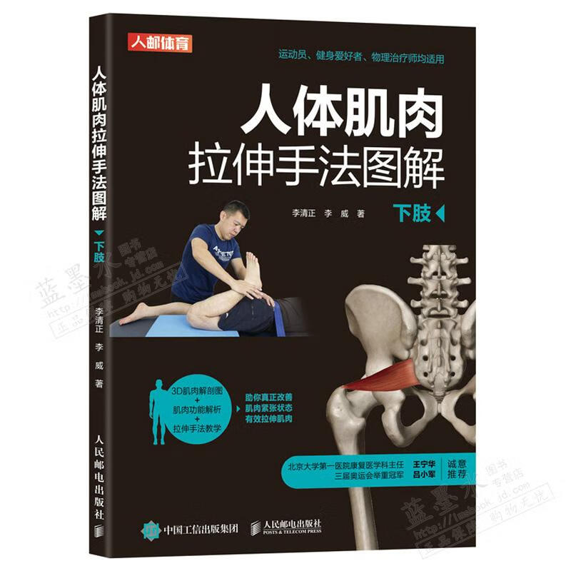 人体肌肉拉伸手法图解 下肢 李清正 李威 邮电出版社 9787115589286