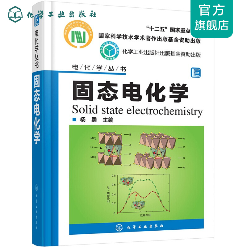 电化学丛书--固态电化学