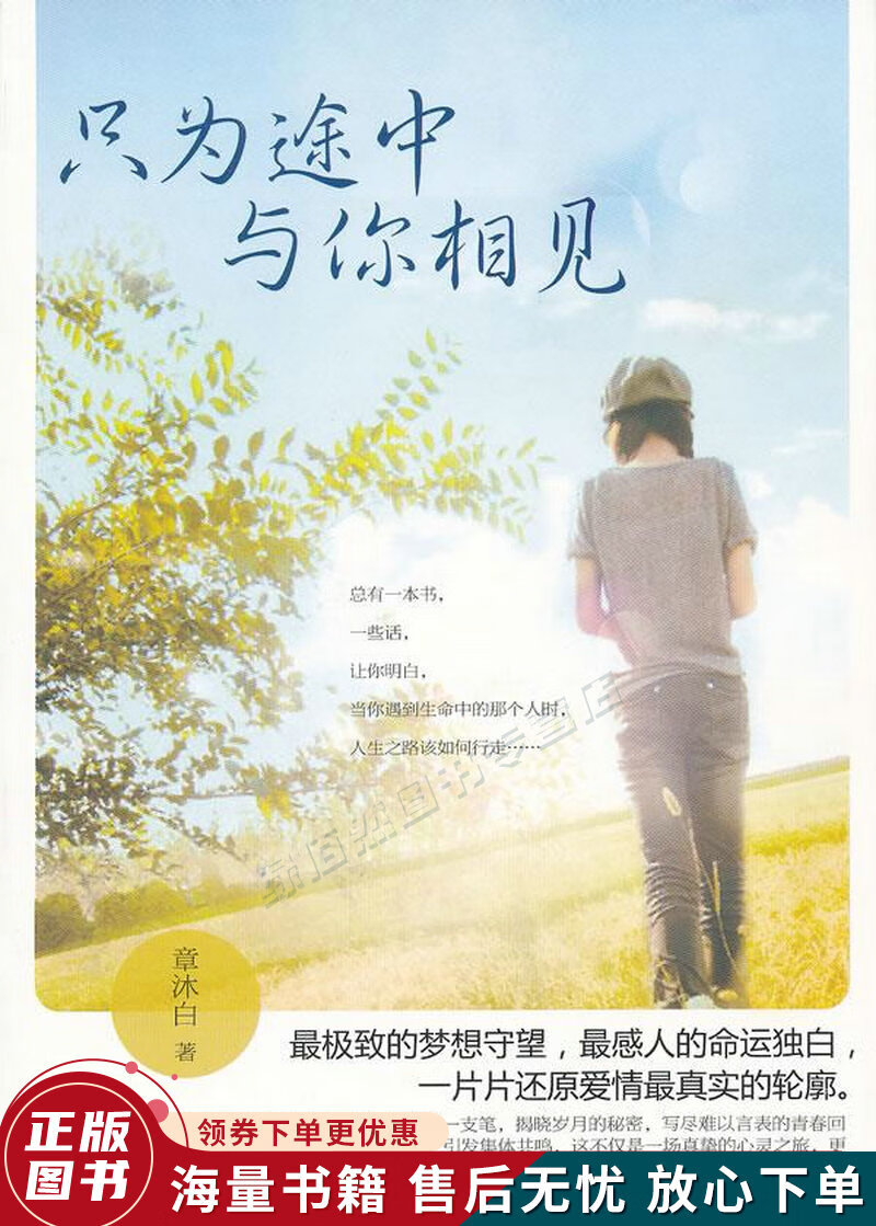 只为途中与你相见