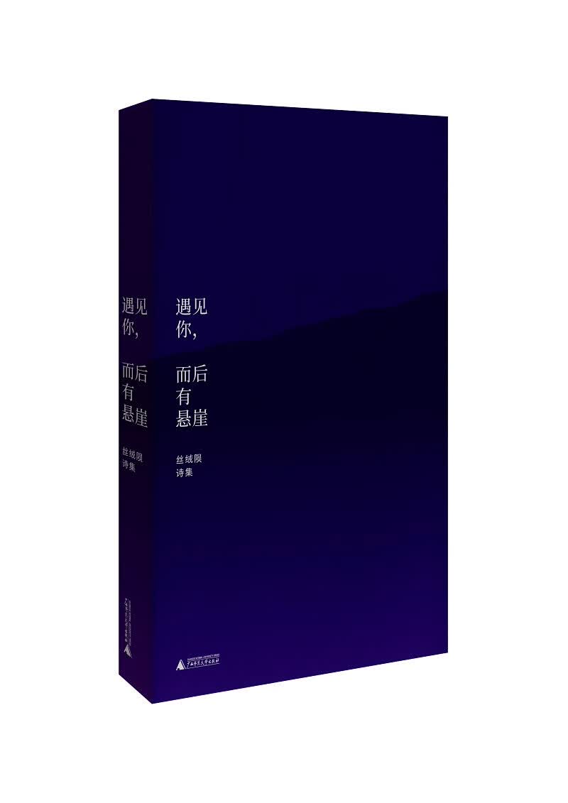遇见你，而后有悬崖：丝绒陨诗集