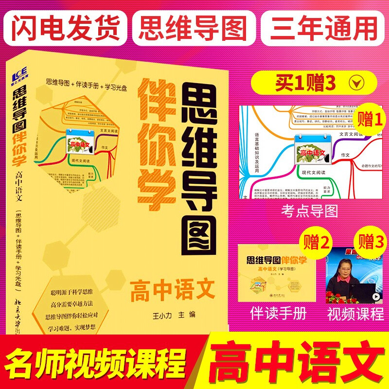 正规思维导图伴你学高中语文 思维训练学习辅导难题解答知识点解析高考总复习新版高一高二高三辅导书