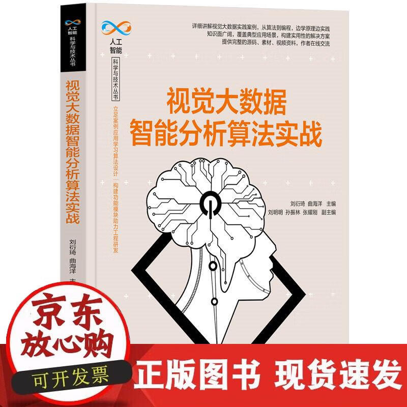 【直发】视觉大数据智能分析算法实战
