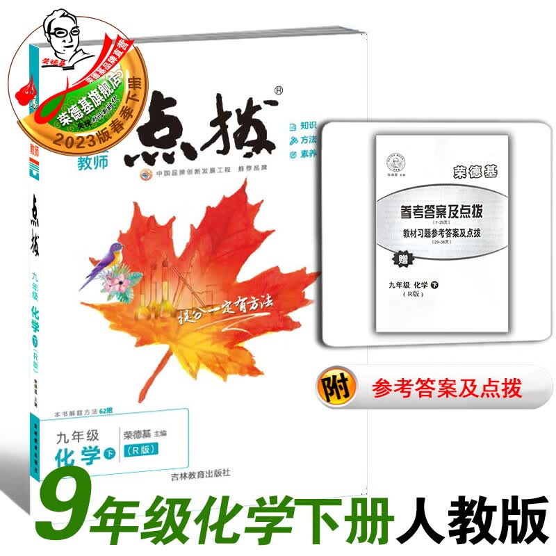 23春点拨九年级语文数学英语物理化学人教/北师/华师/冀教/湘教/外研/沪科/沪粤/沪教/科学/教材讲解同步全解 九下化学人教版