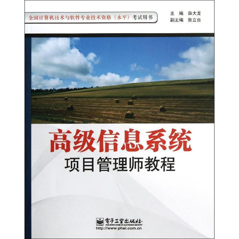 高级信息系统项目管理师教程