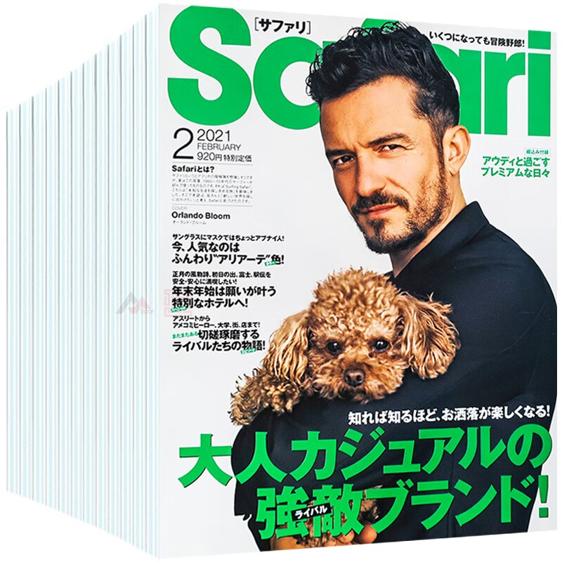 日本 Safari 杂志 订购2023年12期 F28 男装服饰时尚服装摄影杂志