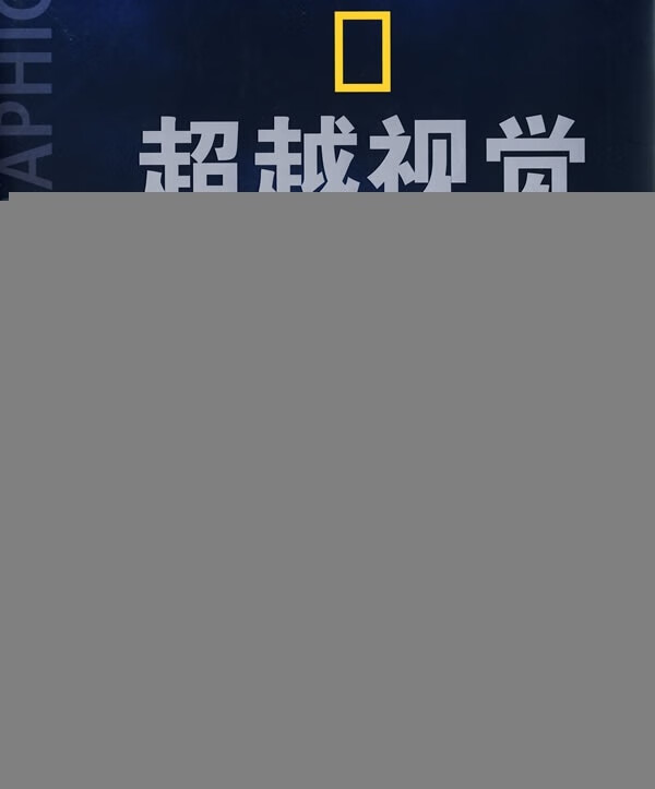 视觉【好书，下单速发】