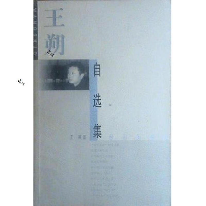 王朔自选集