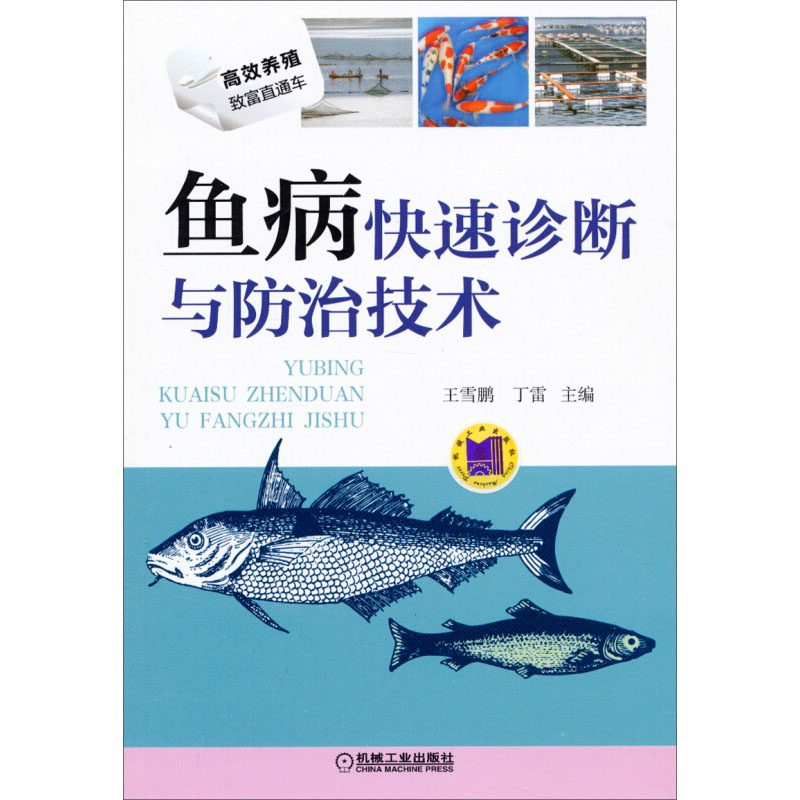 鱼病快速诊断与防治技术 健康科学饲养喂养 鱼塘养鱼技术大全书籍 鱼繁育苗种培育 水产生态养殖 专业技