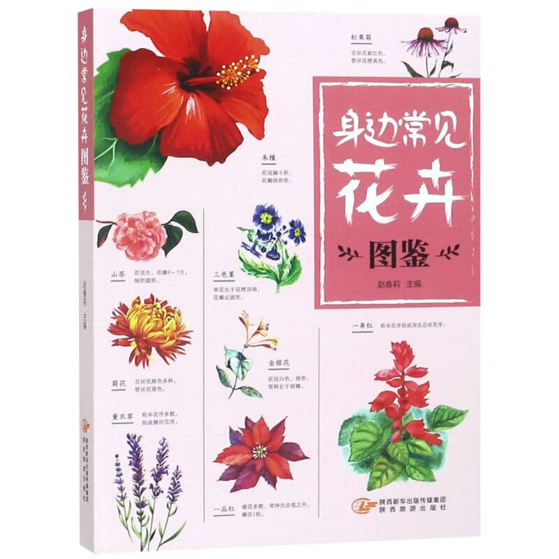 身边常见花卉图鉴