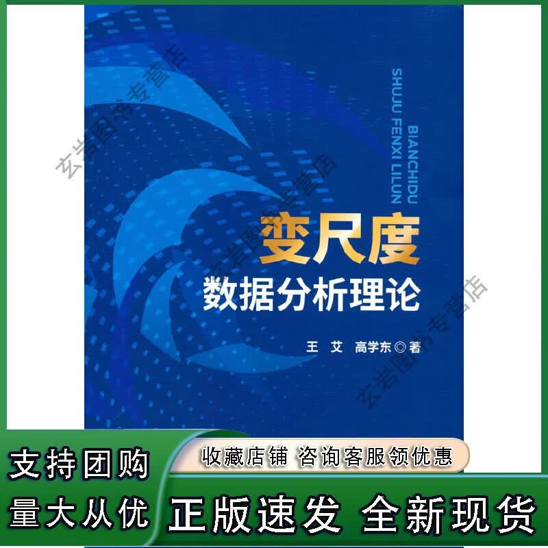 【现货n】变尺度数据分析理论 理科