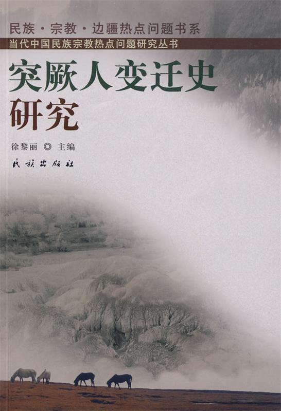 突厥人变迁史研究 徐黎丽 主编【书】