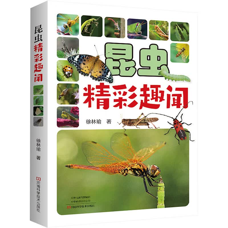 昆虫精彩趣闻 图书