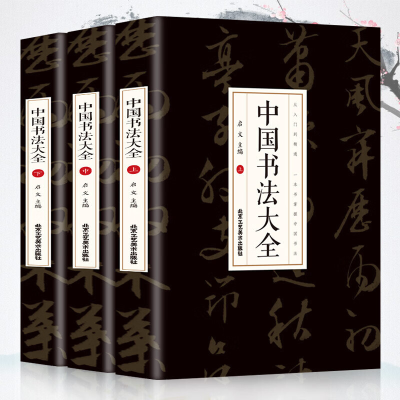 全三册 中国书法大全 楷书行书篆隶草书笔法临习王羲之欧阳询赵孟頫颜真卿书法碑帖临摹练字帖欧体颜体柳体