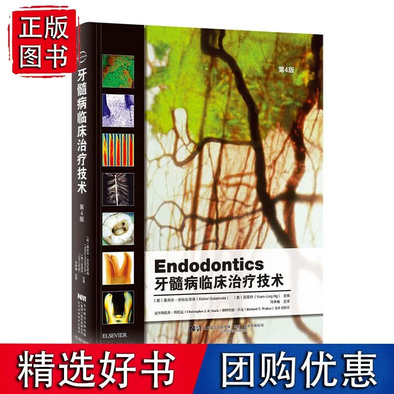 牙髓病临床治疗技术（第4版）