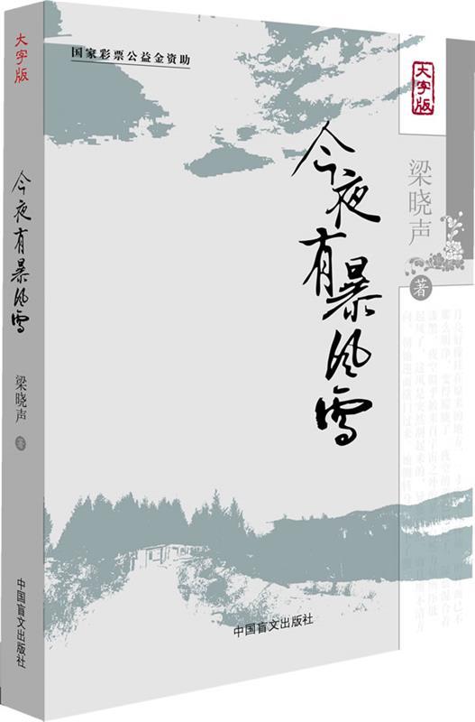 今夜有暴风雪梁晓声经典之作 大字版更护眼 梁晓声著【书】