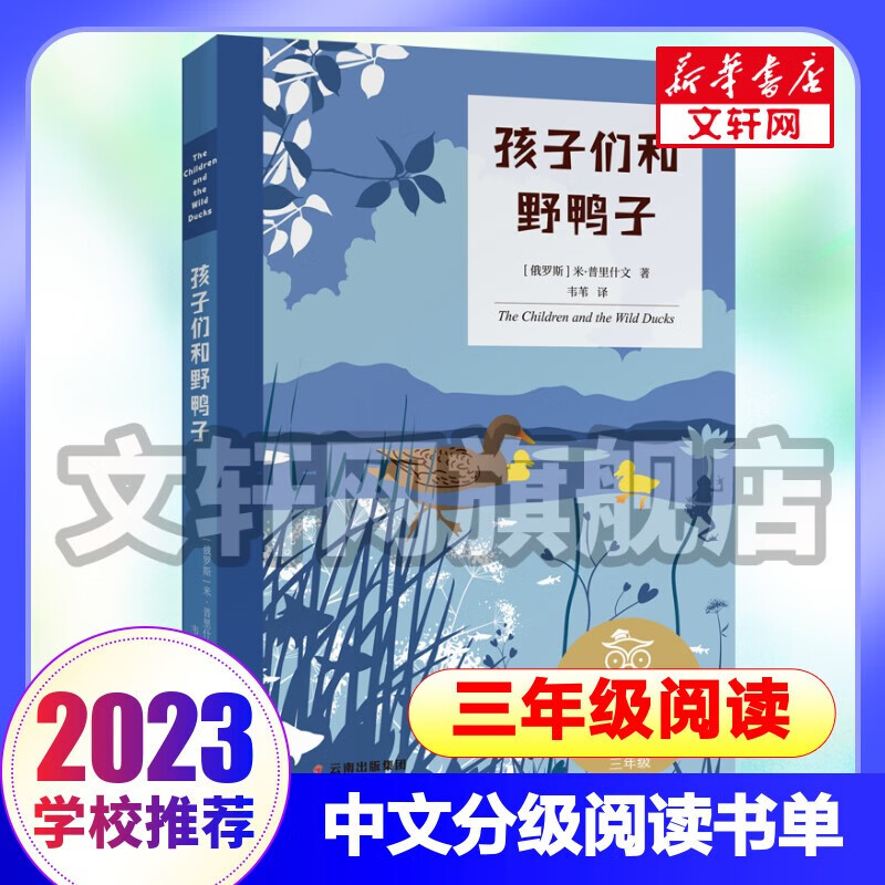 【三年级书单自选】中文分级阅读文库系列K3 三年级寒暑期儿童文学童话故事书课外阅读推荐书目 孩子们和野鸭子