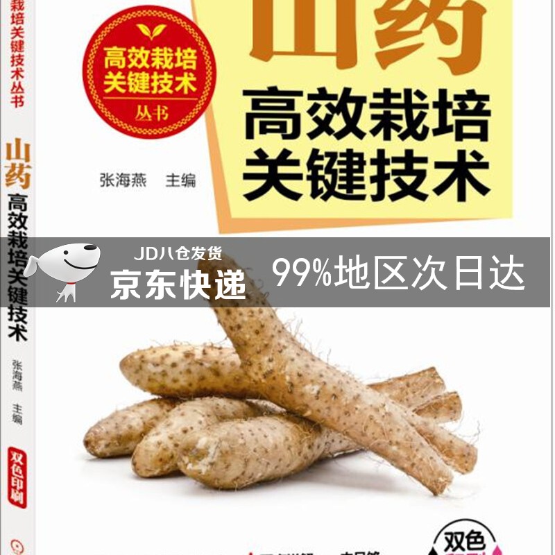 山药高效栽培关键技术