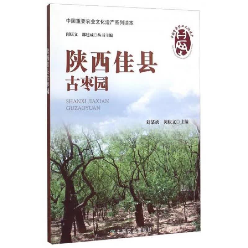 陕西佳县古枣园
