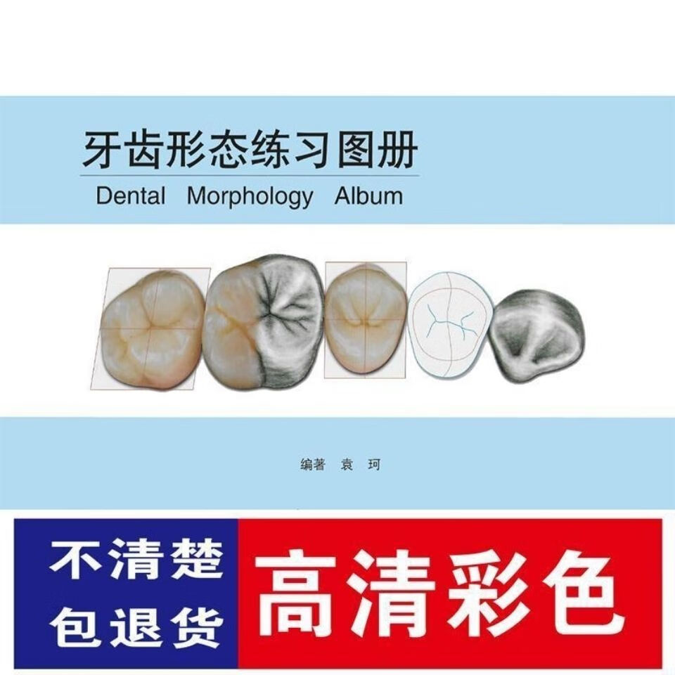 牙齿形态练习 画牙 雕牙练习