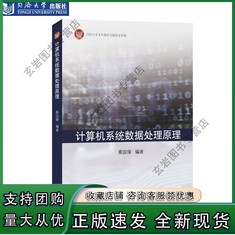 n计算机系统数据处理原理 同济大学出版社 理科