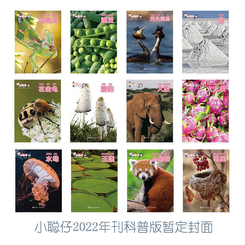 【接力出版社】2022年小聪仔科普版全辑2-6-8岁宝宝孩子期刊杂志小学生启蒙认知早教子共读科普百科 2022全年