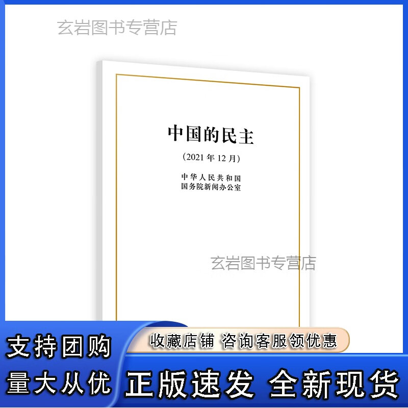 n中国的民主（16开）