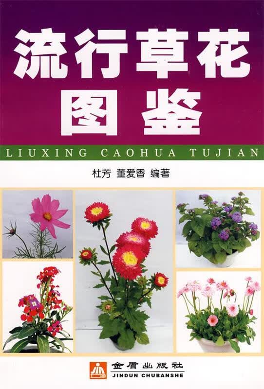 流行草花图鉴 杜方,董爱香编著【书】
