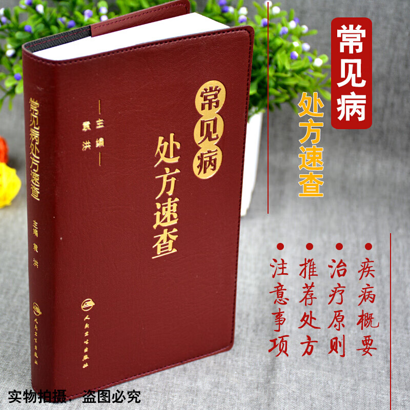 常见病处方速查 PU封皮又名方剂方子药方药物速查手册 临床用药速查手册 袁洪 主编 人民卫生出