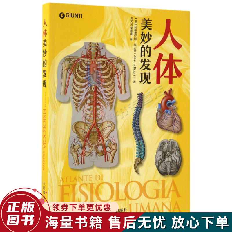 人体 美妙的发现