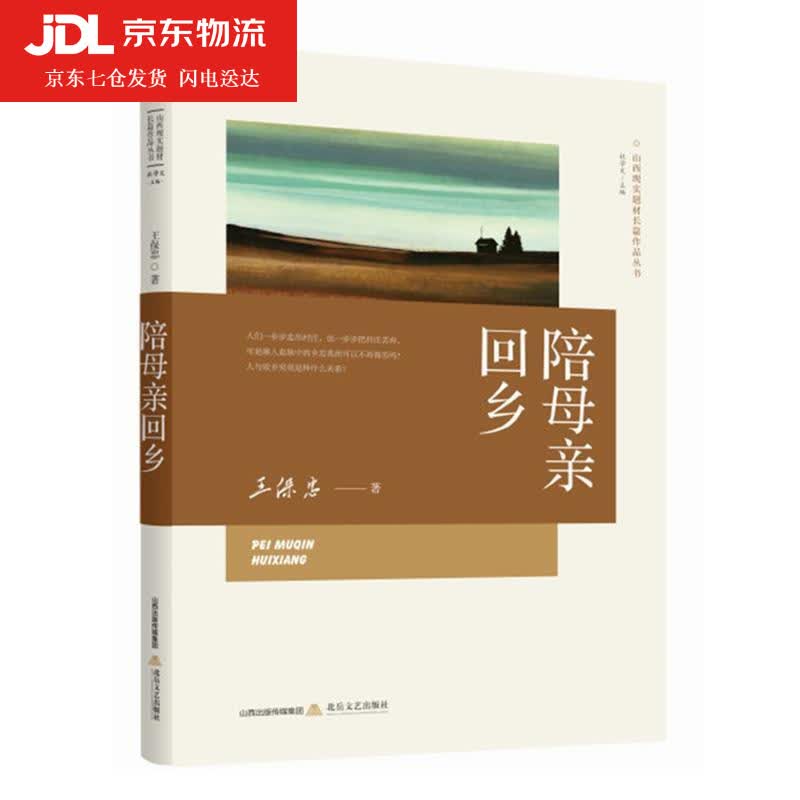 陪母亲回乡 王保忠 9787537862738